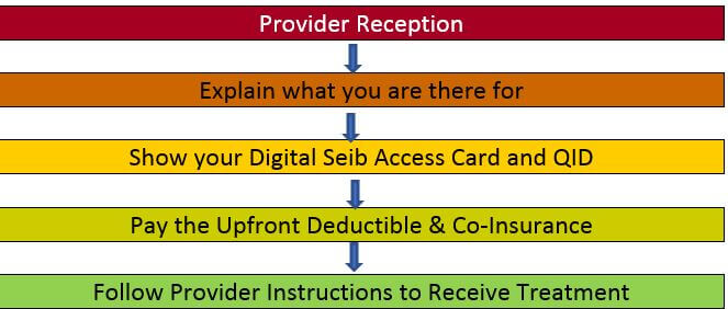 Seib Insurance - Medical FAQ